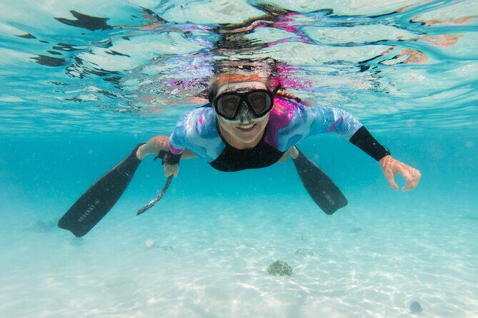 Private Half day REVOLVE Boat & Snorkeling tour in Bonaire - Who Will Love This Tour?
