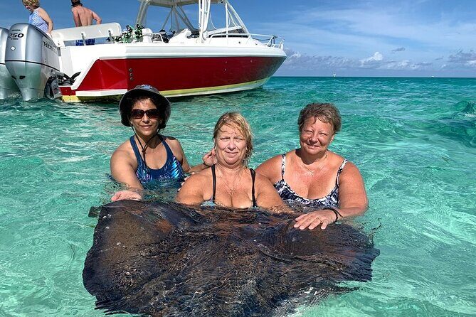 Private Half Day Stingray City, Snorkeling and Starfish Beach Tour - Who Will Love This Tour?