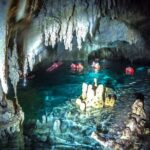 Private Half day Tour Cenote Cave and Snorkeling - An In-Depth Look at the Tour Experience