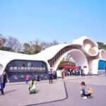 Private Half-Day Tour Chengdu Panda Breeding Center - Exploring the Tour in Detail