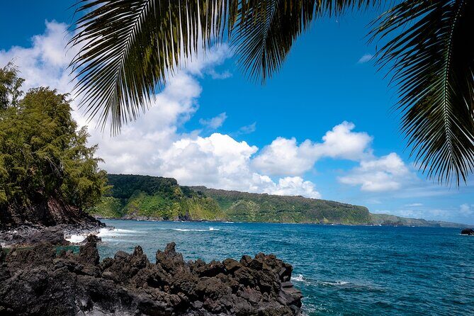 Private Half Way to Hana Tour with Local Guide - An In-Depth Look at the Tour
