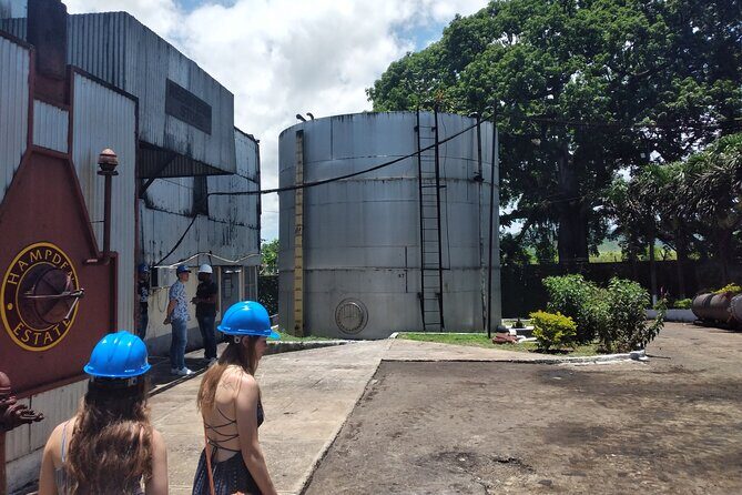 Private Hampden Estate Rum Tour from Montego Bay or Falmouth - Practical Considerations