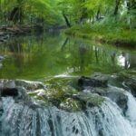 Private Hangzhou Car and Walking Tour - Frequently Asked Questions