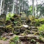 Private Hiking Activity near Tokyo - Authenticity and Value