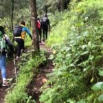 Private Hiking to Chipinique from Monterrey - Why This Tour Offers Good Value