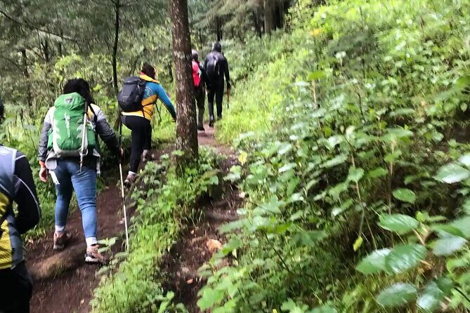 Private Hiking to Chipinique from Monterrey - Why This Tour Offers Good Value