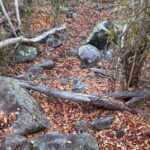 Private Hiking Tour in British Virgin Island with the Best 360 View - Final Thoughts