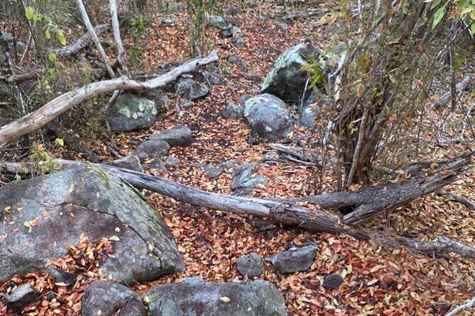 Private Hiking Tour in British Virgin Island with the Best 360 View - Final Thoughts