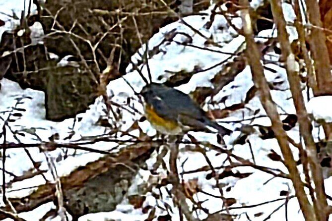 Private Historic Road Hike in the Healing Forest of Arima - Starting Point and Itinerary Breakdown