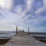 Private Ho Chi Minh City Highlights and Nature Escape Tour - Who Is This Tour Best For?