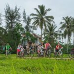 Private Hoi An Bike and Kayak Guided Tour with Lunch - Authenticity and Highlights Based on Reviews