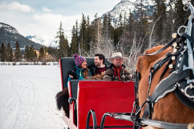 Private Horse-Drawn Sleigh Ride In Banff - Who Will Love This Tour?