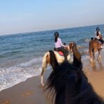 Private Horse Riding Activity in Port City - Who Will Enjoy This Tour?