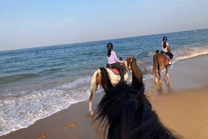 Private Horse Riding Activity in Port City - Who Will Enjoy This Tour?