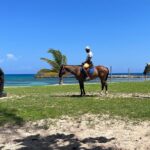 Private Horseback Ride and Swim from Montego Bay - How the Tour Adds Up in Value