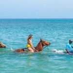 Private Horseback ride and swim in Montego Bay - Transport and Logistics