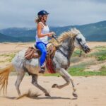 Private Horseback Riding in Cabo San Lucas - Who Will Love This Tour?