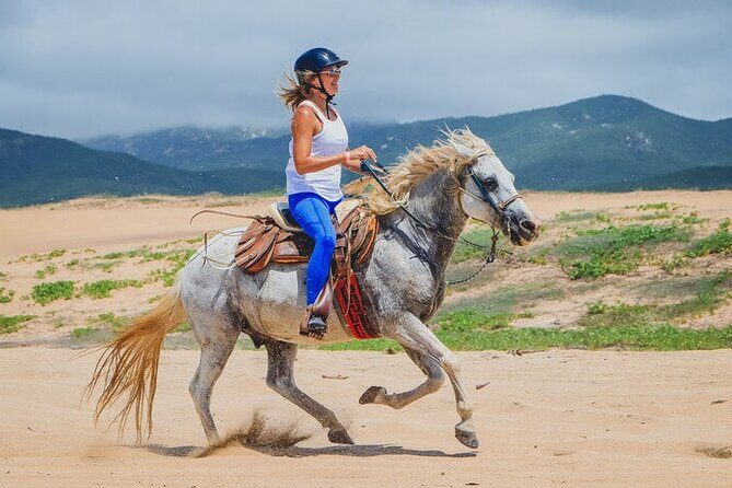 Private Horseback Riding in Cabo San Lucas - Who Will Love This Tour?