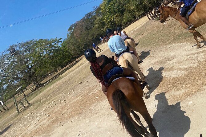 Private Horseback Riding with Blue Hole River Tour in Montego Bay - What We Loved About the Tour