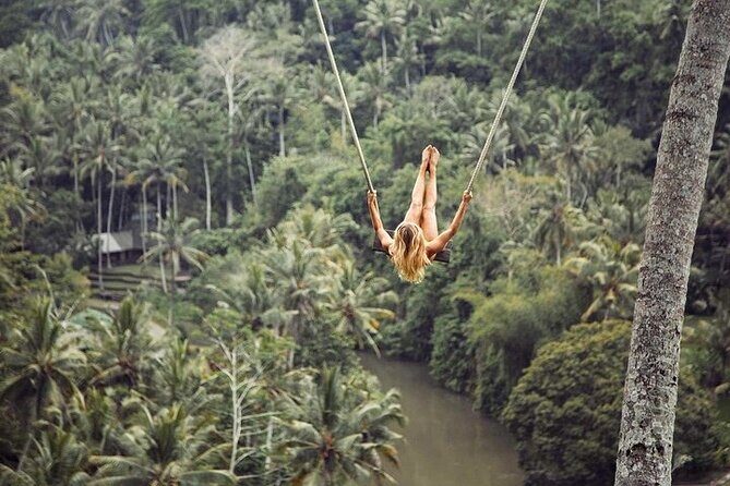 Private Inclusive Tour: The Best Of Ubud With Jungle Swing - Who Will Love This Tour?