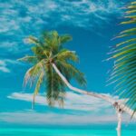 Private: Isla Saona VIP Escape Luxury Beach & Speedboat Tour - What Makes This Tour Stand Out?