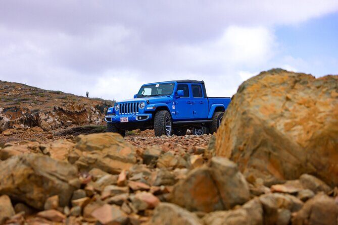 Private Island Tour in Premium A/C Jeeps - Exploring Aruba in Style: An In-Depth Review