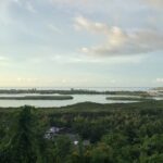 Private Jamaica Transport - Why Travelers Love This Service