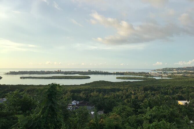 Private Jamaica Transport - Why Travelers Love This Service