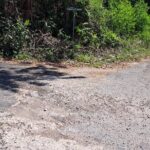 Private Jamrock Herbal Trek at Discovery Bay Jamaica - A Detailed Look at the Tour Experience