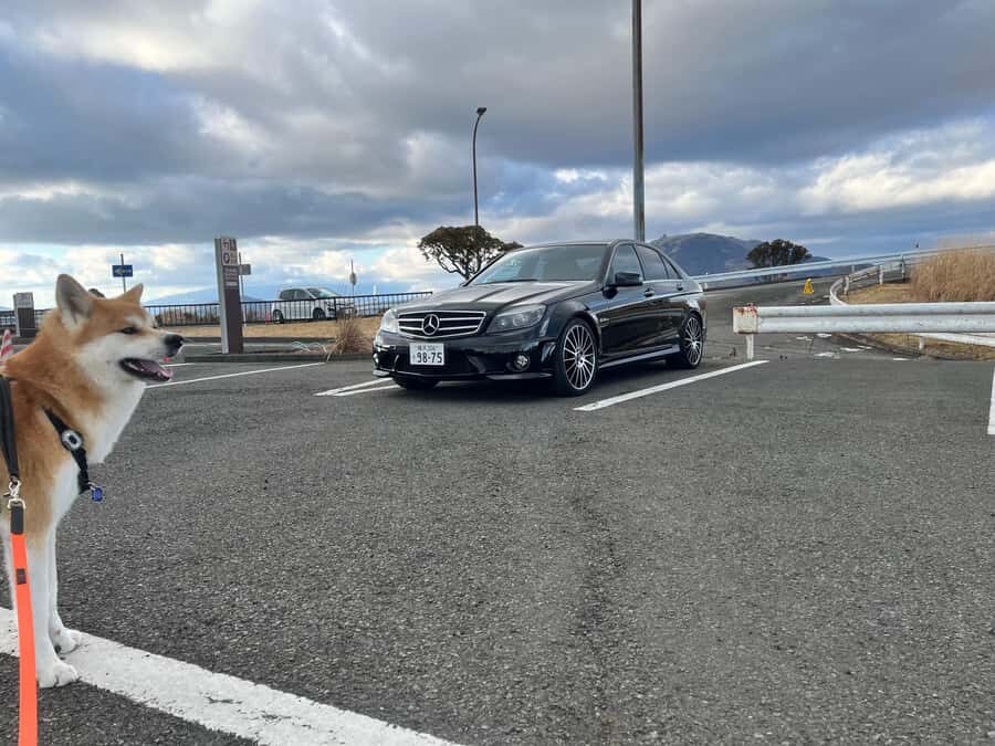 Private JDM scene tours to Daikoku PA, Umihotaru and Hakone - What to Expect from Your Tour Experience