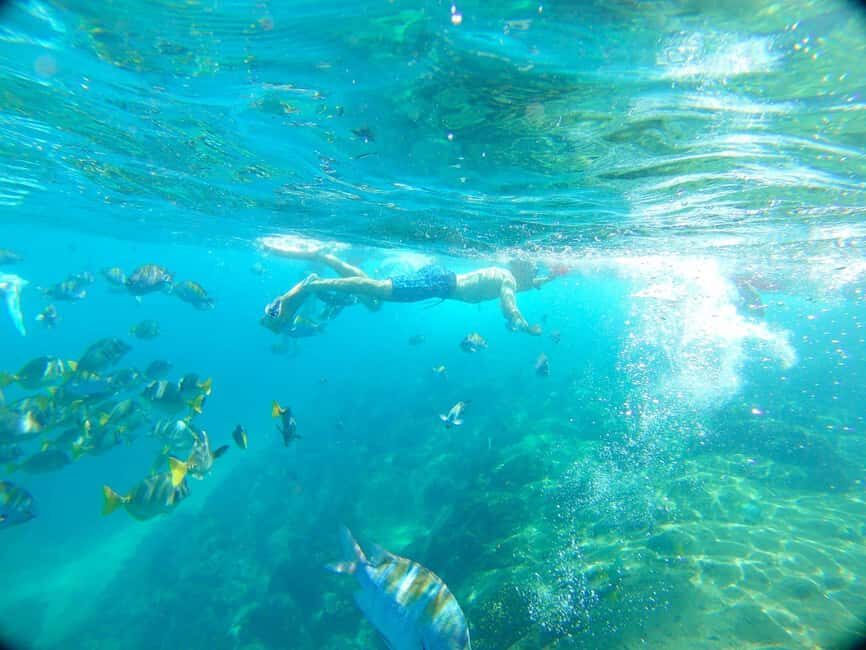 Private Junior Catamaran Tour in Punta Cana with Transportation Included - The Itinerary Breakdown