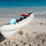 Private Kayak Tour in Puerto Rico - What Makes This Tour Stand Out