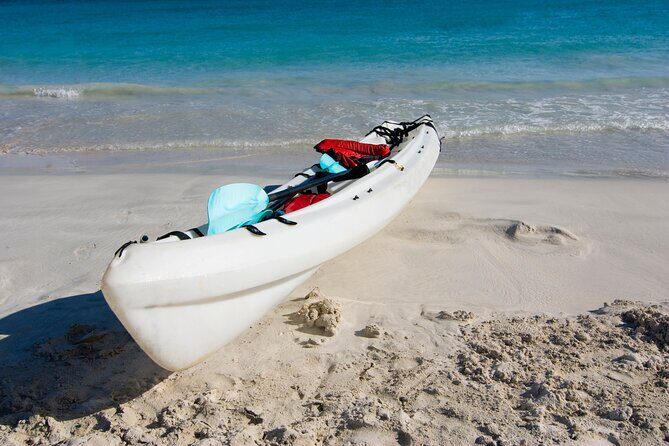 Private Kayak Tour in Puerto Rico - What Makes This Tour Stand Out
