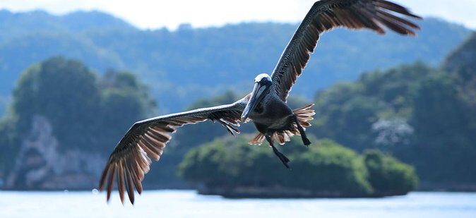Private Kayaking in Los Haitises with Tour guide from Caño Hondo - The Sum Up