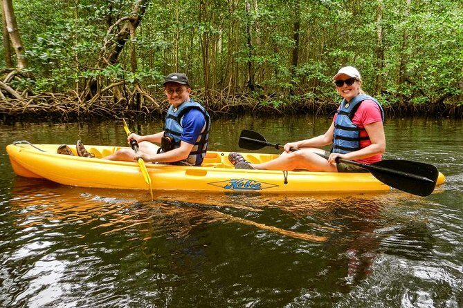 Private Kayaking Los Haitises National Park from Sabana de la Mar - The Experience: Pros and Cons