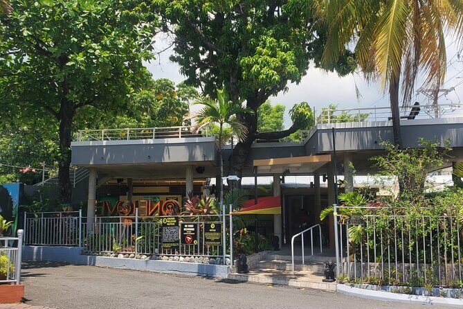 Private Kingston and Bob Marley Museum Tour from Ocho Rios - Who Should Book This Tour?