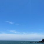 Private Kochi Shore Excursion - What Travelers Say