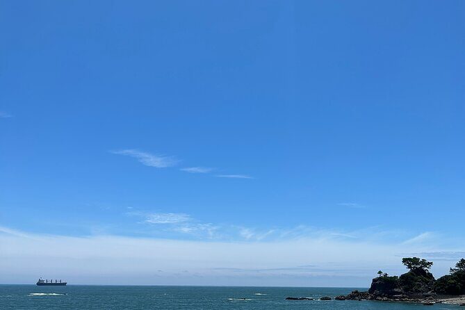 Private Kochi Shore Excursion - What Travelers Say