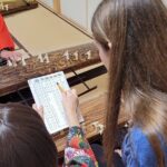 Private Koto Lesson with a Professional Musician in Nagoya - Who Will Love This Experience?