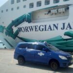 Private Kuala-Lumpur Shore Excursion - City Icons and Landmarks