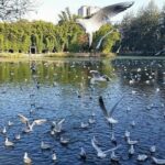 Private Kunming Night Tour with Dynamic Yunnan Show - Why This Tour Offers Good Value