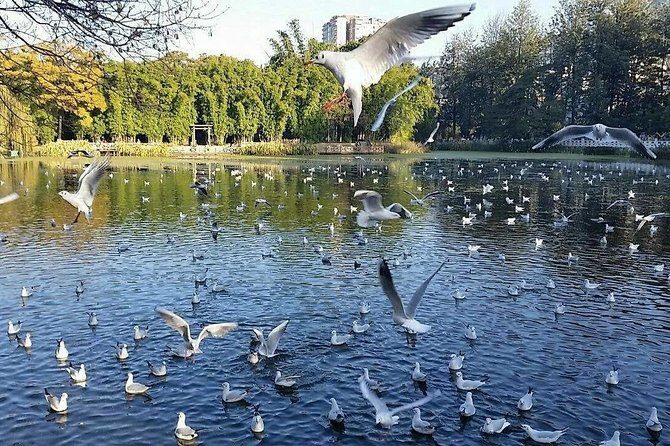 Private Kunming Night Tour with Dynamic Yunnan Show - Why This Tour Offers Good Value