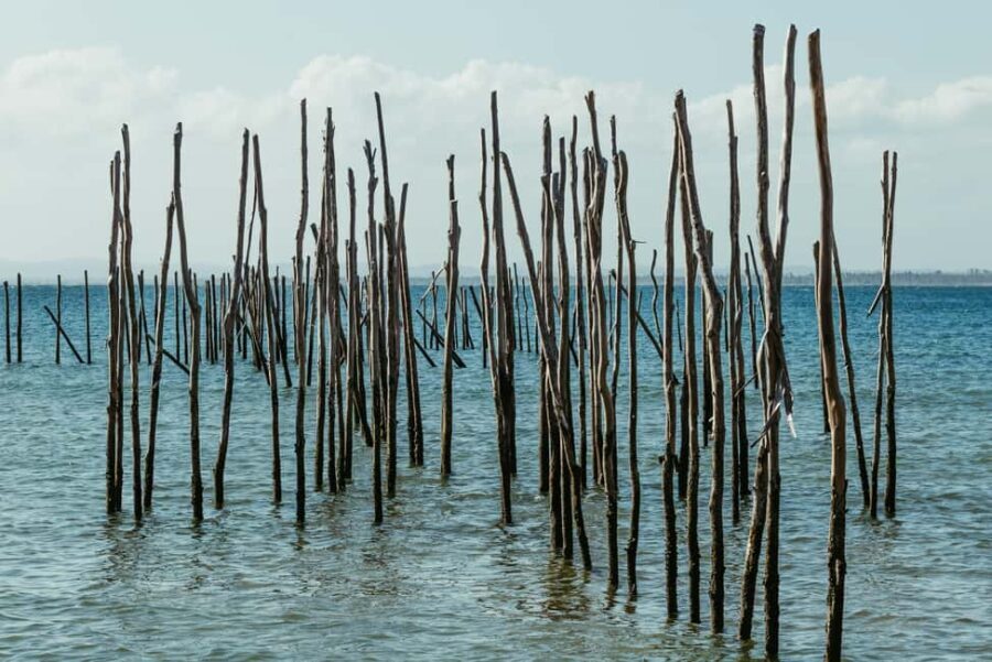 Private: Lago Enriquillo Boat & Wildlife Discovery Tour - A Practical Guide to the Lago Enriquillo Experience