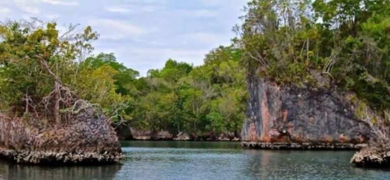 Private: Los Haitises National Park 2-Day Tour with Meals - Considering the Value