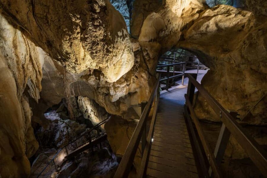 Private: Los Haitises & Redonda Mountain Day Tour - Transportation & Timing