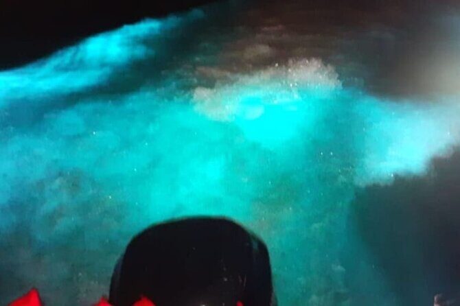 Private Luminous Blue Lagoon Night Tour in Falmouth - Final Thoughts