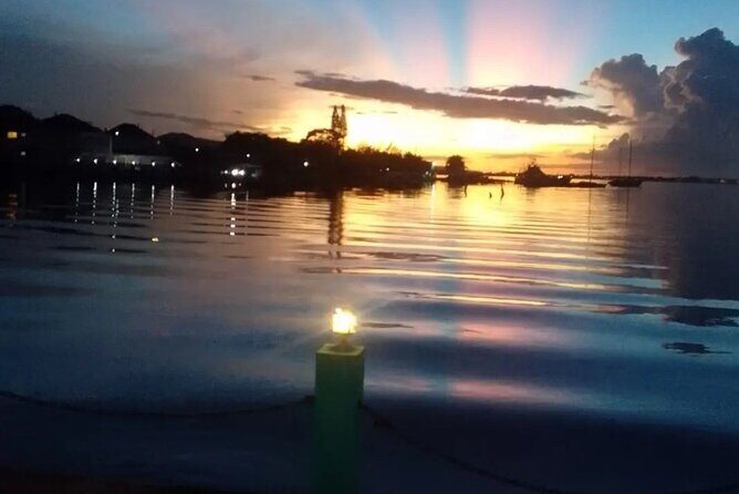 Private Luminous Lagoon Tour from Montego bay - Why This Tour Works Well