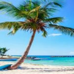 Private: Lunch on a Catamaran Cruise Around Catalina Island - The Practical Side: What to Expect