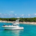 Private Luxury 36' Yacht from Fajardo to Icacos or Palomino - The Experience — A Closer Look at the Tour Itself