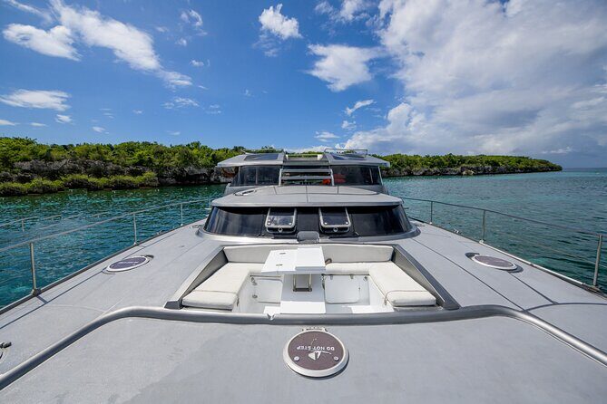 Private Luxury Catamaran to Saona or Catalina Island - Practical Details
